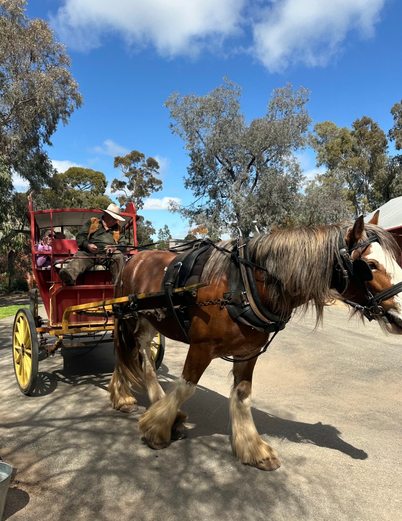2024 Trip to Swan Hill | Melbourne North Probus Club